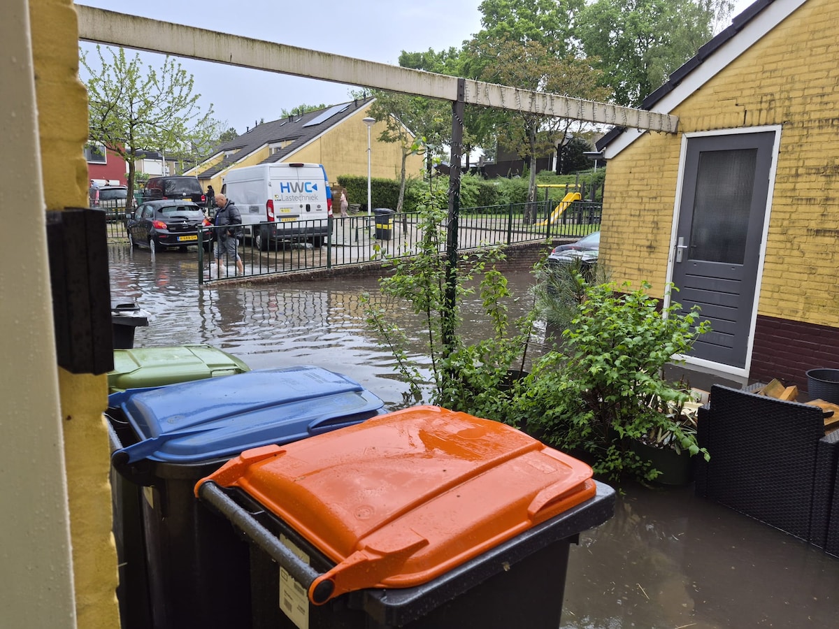 Hoosbui slaat tuinen weg in Bergen op Zoom, bewoners vinden zelfs ...