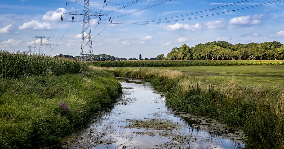 Waterschap grijpt in vanwege droogte: op deze plekken mag je geen water ...