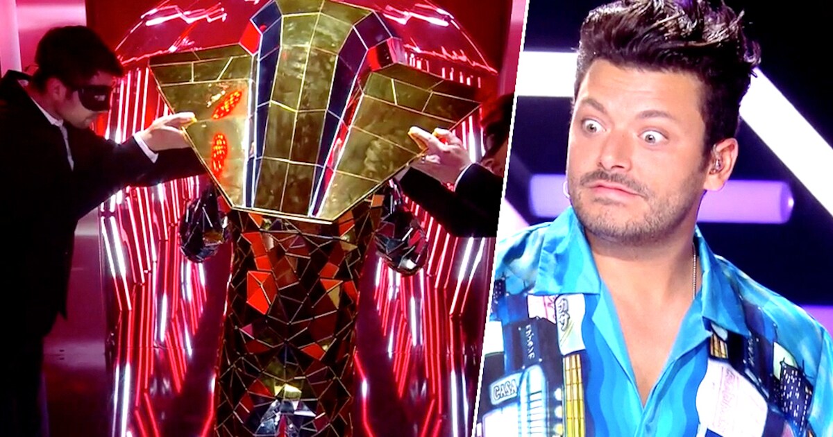 Verbazing in Franse The Masked Singer: Cobra blijkt recordhoudende ...