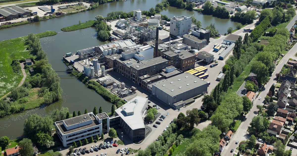 Vijfdaagse staking bij Corbion Purac: werknemers beginnen actie op het ...