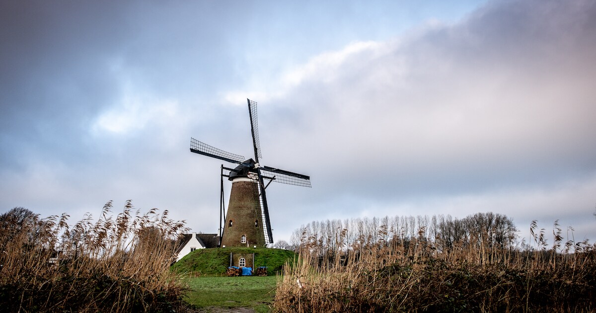 In het spoor van Van Gogh: hier schilderde Vincent zijn eerste ...