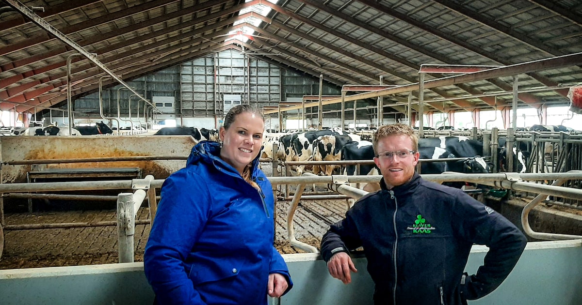 BZV-boer Jan en Rianne gelukkig in Denemarken: ‘Ik zie ons wel oud ...