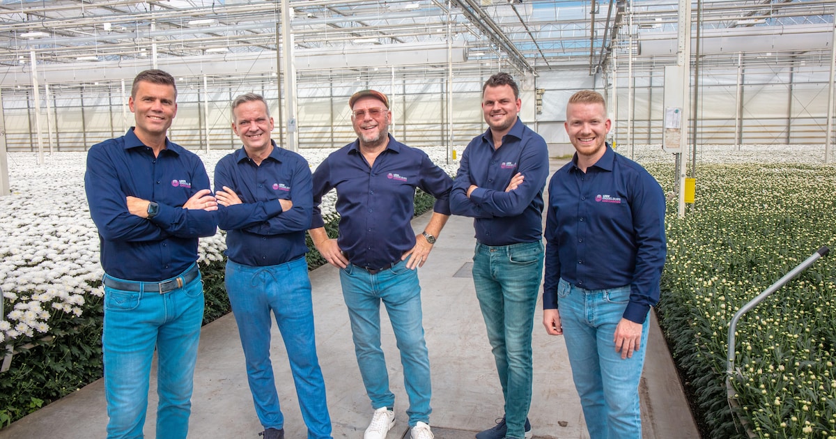 Leen Middelburg Chrysanten wil met ‘verstevigde’ directie nog grotere ...