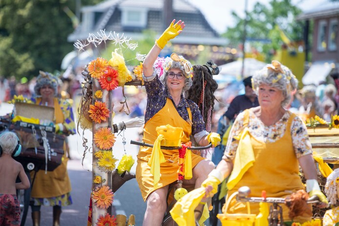 Goor loopt weer uit voor traditioneel klapstuk: De Allegorische Optocht | Hof van Twente | AD.nl