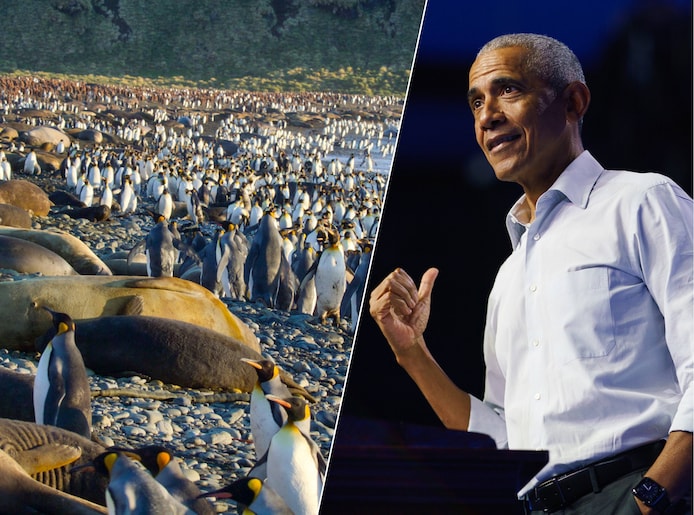 Barack is back: Obama treedt in voetsporen van David Attenborough met ...
