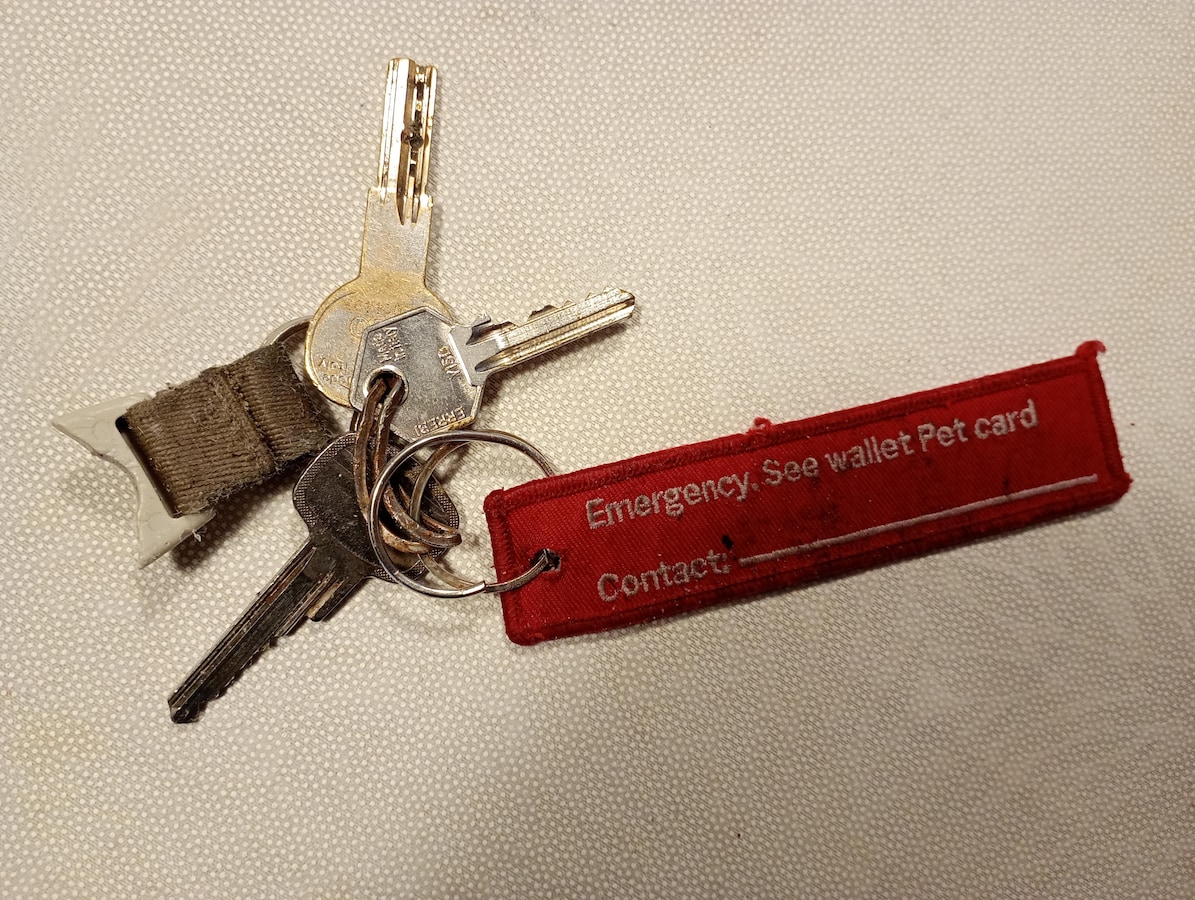 Bernard spaart kerstservies en ruime beloning voor vinder van ring ...