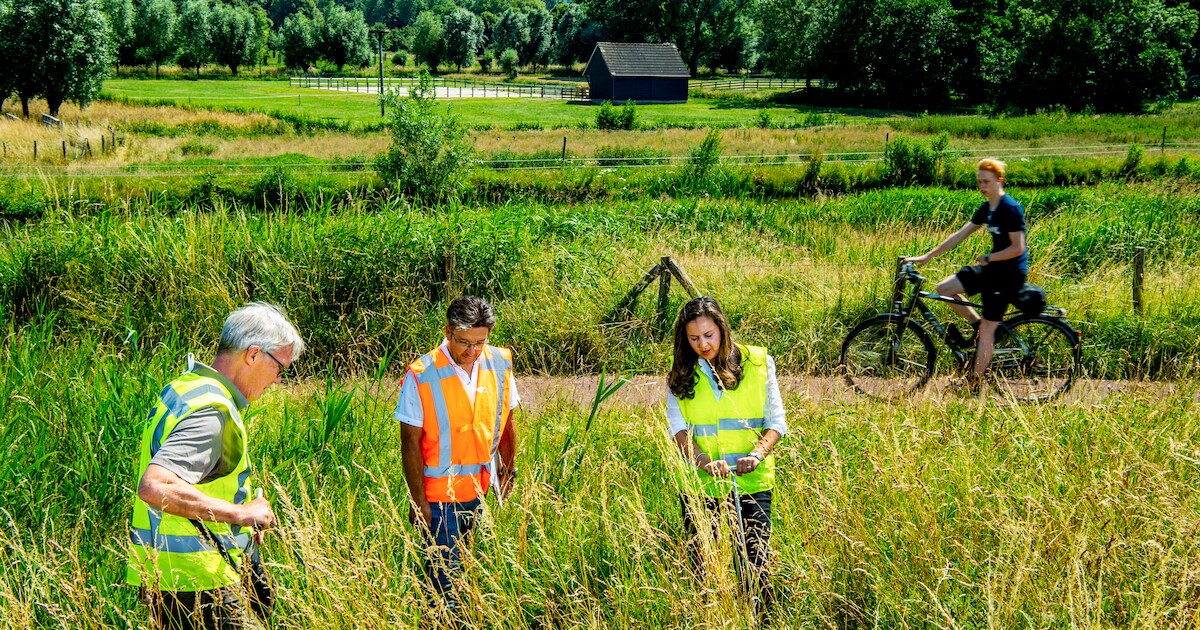 Dijken hebben het zwaar met de droogte, maar de verlossing is nabij ...