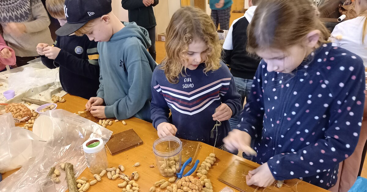 Knutselen voor de vogels | Land van Cuijk | AD.nl