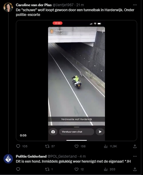 De hond van Bas werd aangezien voor wolf in Harderwijk: ‘Zo’n tweet van ...