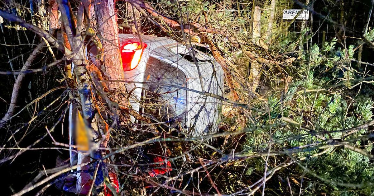 Man (18) crasht op A28 en belandt op de zijkant in de bosjes | Elburg ...