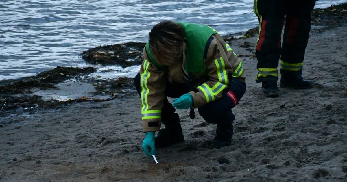 Bijtende chemische stof op strand in Zevenhuizen bezorgt hond ...