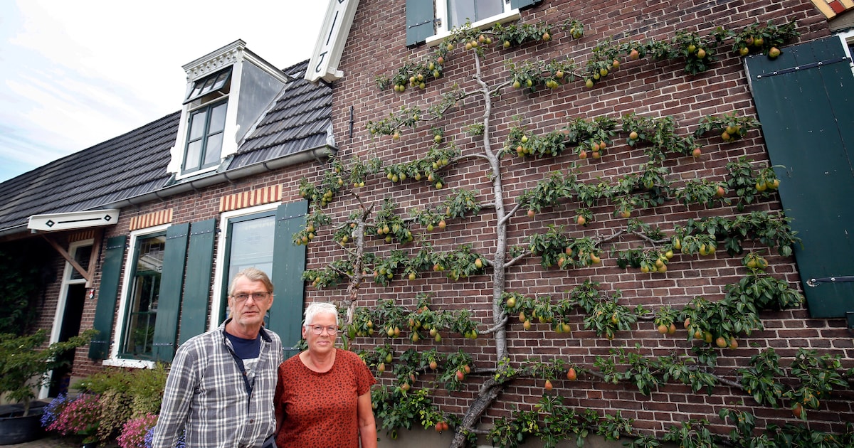 Het huis van Piet en Cora is een echt familiehuis: ‘Mijn vader legde in ...