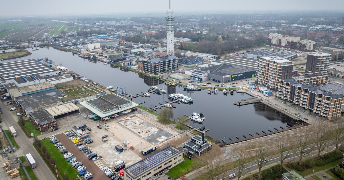Zwemmen, wandelen, uit eten en wonen: Rijnhaven wordt ‘toonaangevende ...