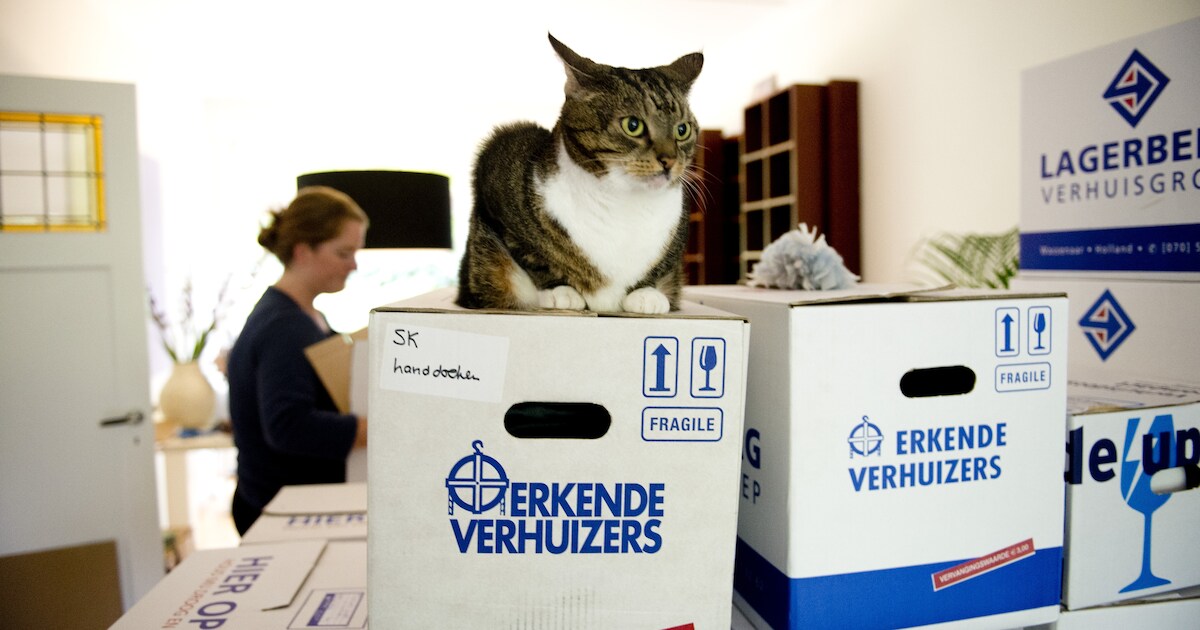 Nieuwe of vrijgekomen woning in Reimerswaal heeft gevolgen tot in ...