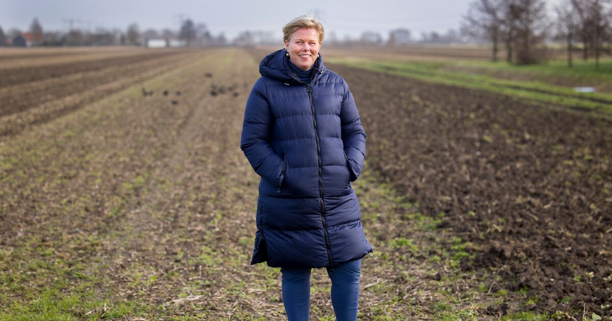 Boeren telen liever aardappelen en uien, maar slim is dat niet: ‘Er ...