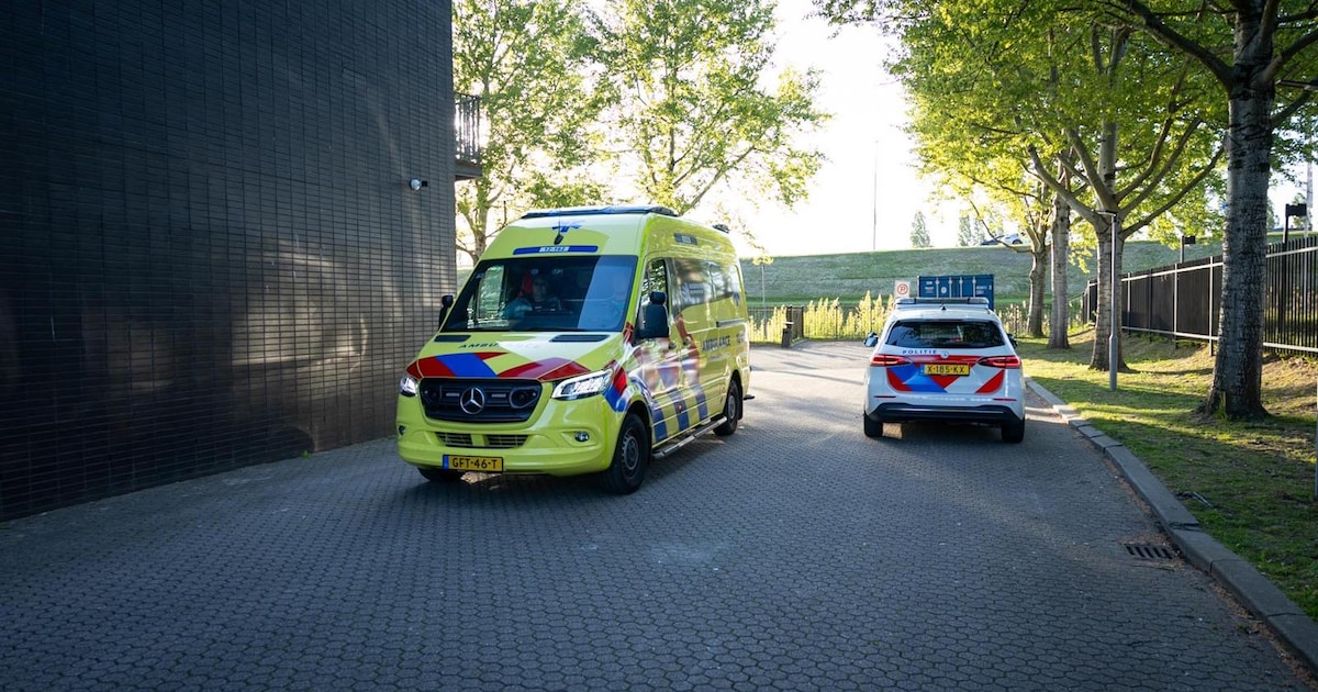 Politie onderzoekt steekincident bij opvanglocatie in Lijnden | Regio ...