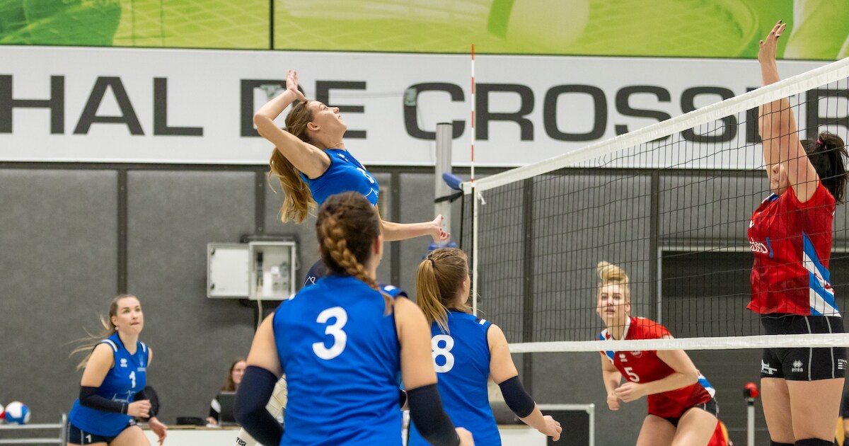 Volleybalsters Voltena volgend seizoen niet meer in eredivisie: ‘Klasse ...