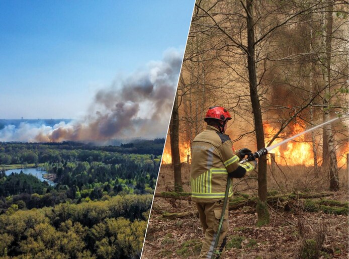 Natuurbrand in Drunen na hele nacht blussen onder controle | Binnenland ...