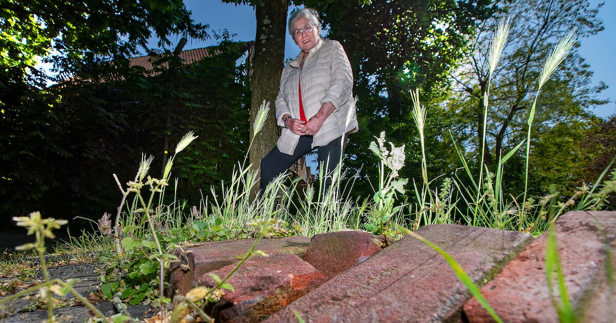 Anja (72) strijdt al vier jaar voor schadevergoeding na val over gat in ...