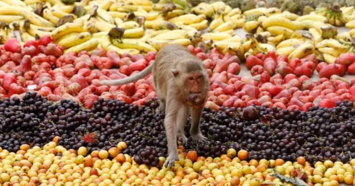 Wetenschappers ontdekken waarom bananen geel zijn | Koken & Eten | AD.nl