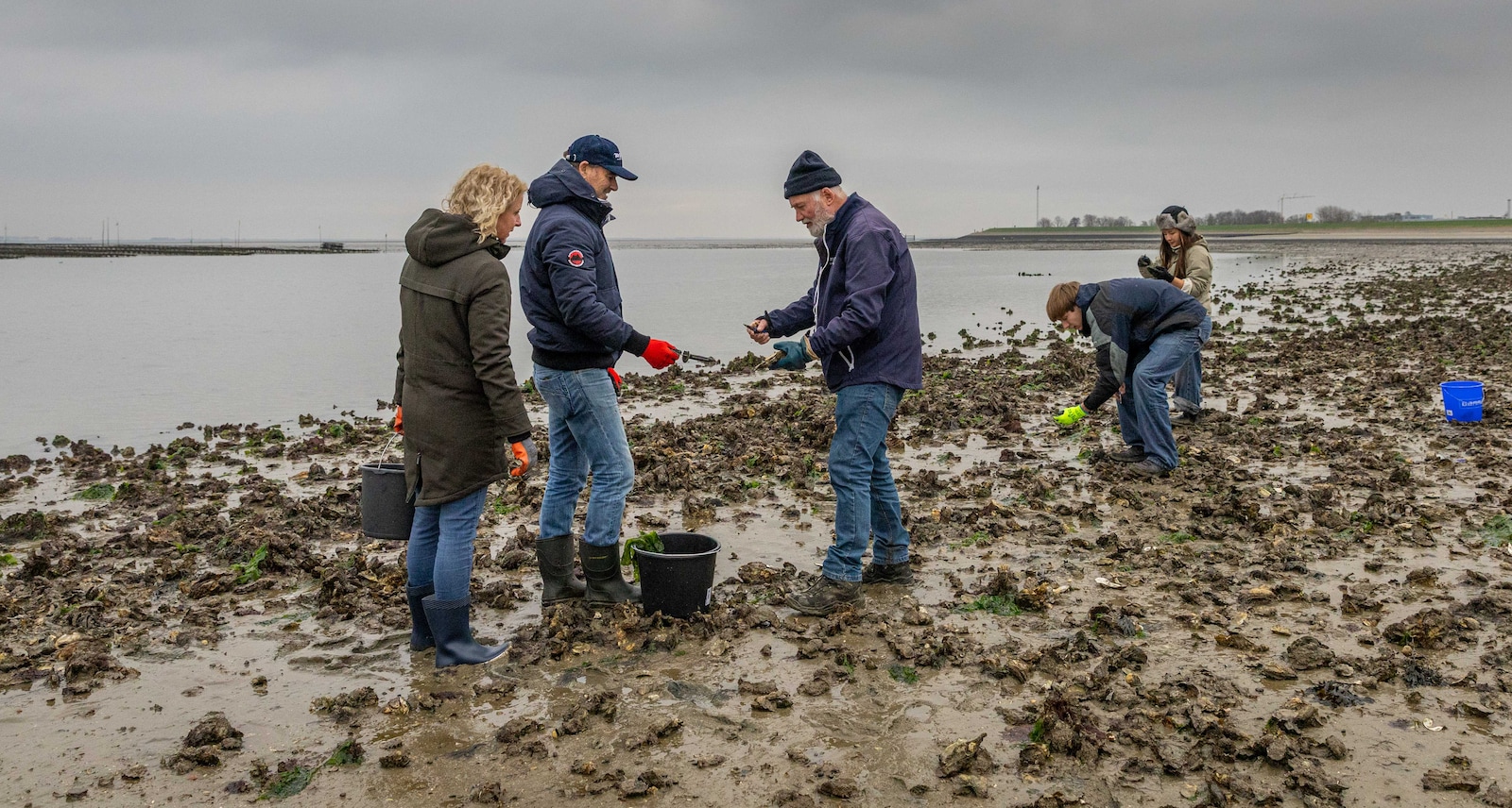Randstedelingen zijn verzot op oesters en komen er zelfs voor naar ...