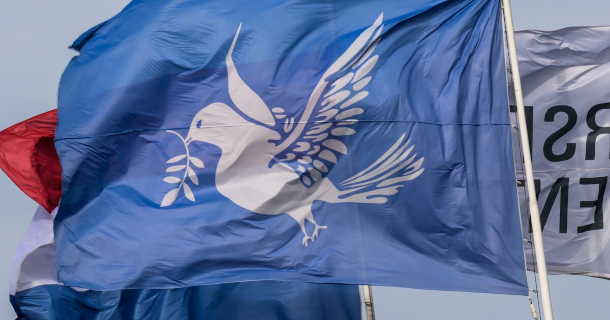 Deze vlag wappert voortaan standaard op het Dordtse stadhuis: ‘Symbool ...