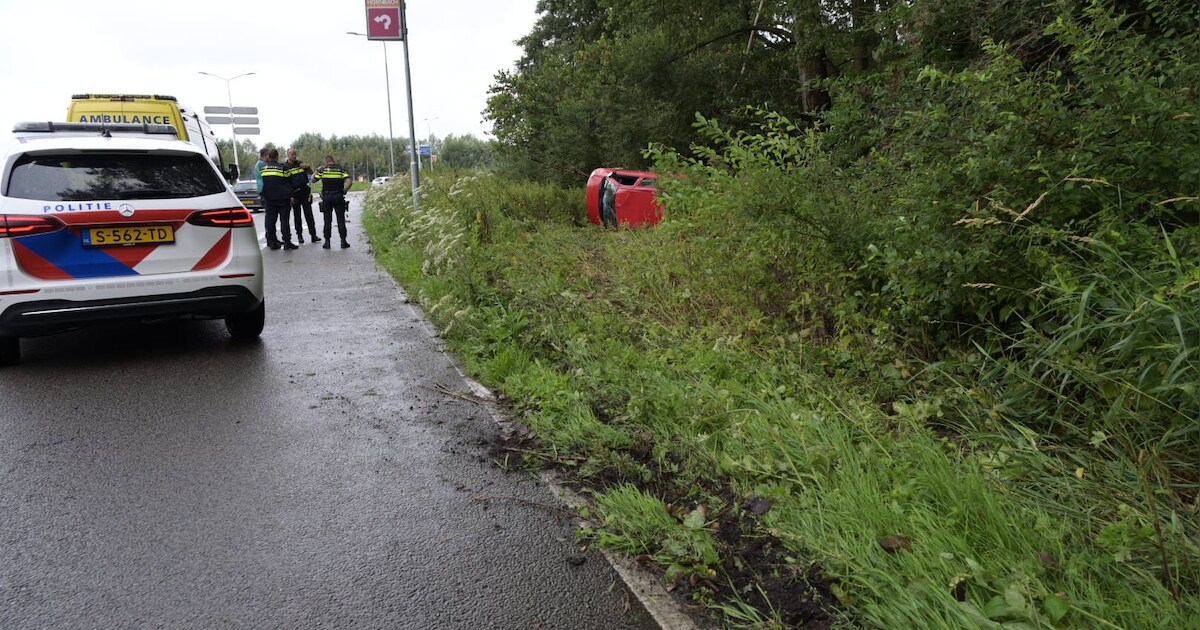 Rode auto raakt van weg en belandt in bosjes | Duiven | AD.nl