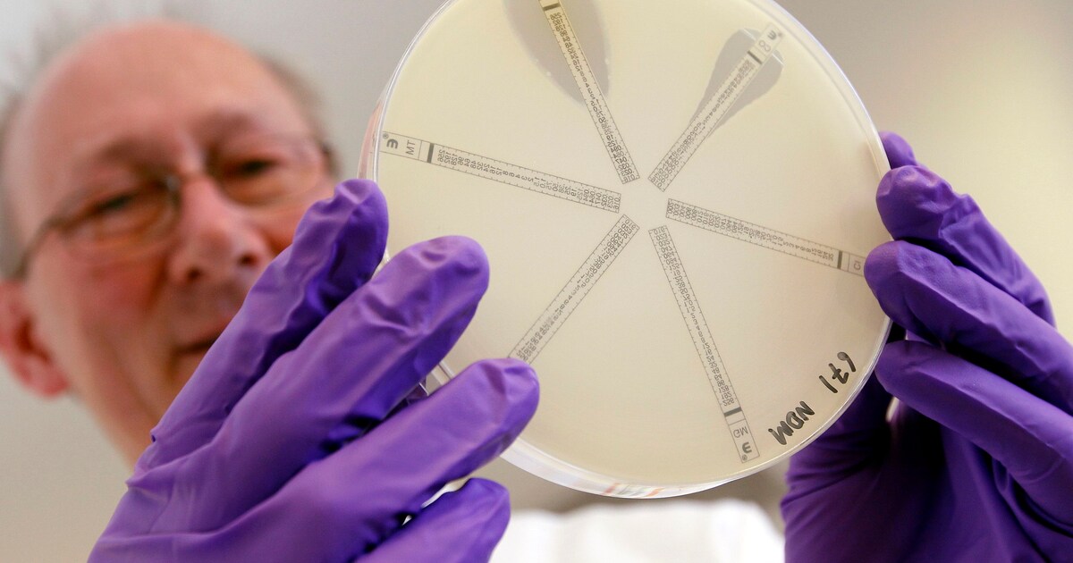 Bacteriën worden steeds resistenter: duizenden doden per jaar ...