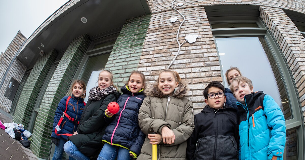 Kunst groeit het dak op bij De Klimop in Zoetermeer | Zoetermeer | AD.nl