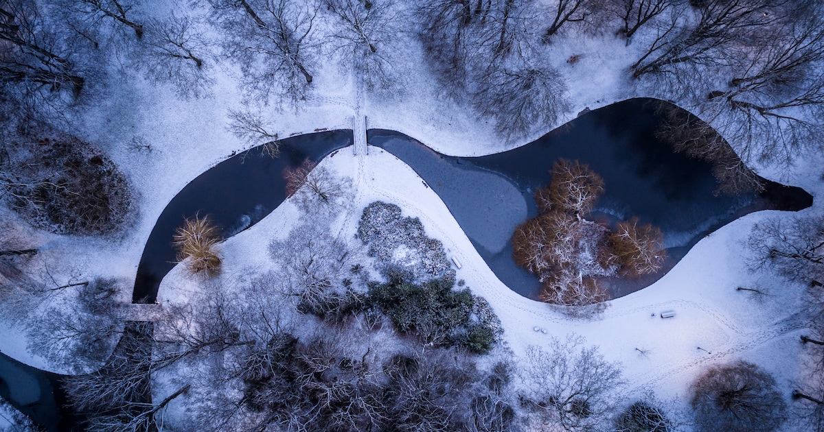 Zien! Zo beleefde het Groene Hart de eerste sneeuwpret van het seizoen ...