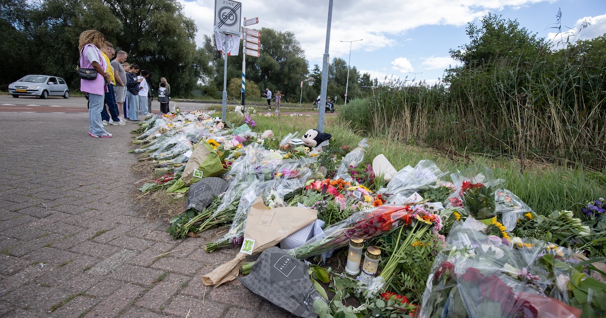 OM: Identiteit verdachte doden Lisa nog niet 100 procent zeker | Binnenland | AD.nl