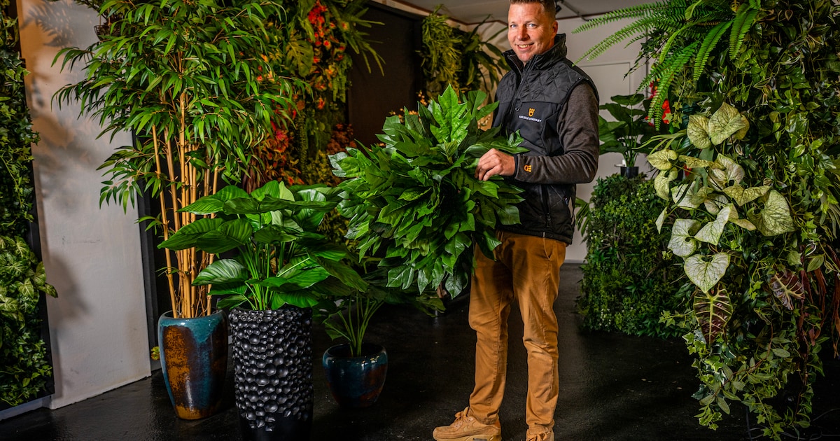 Martijn wereldwijd succesvol met zijden bloemen en planten: ‘Enorme ...