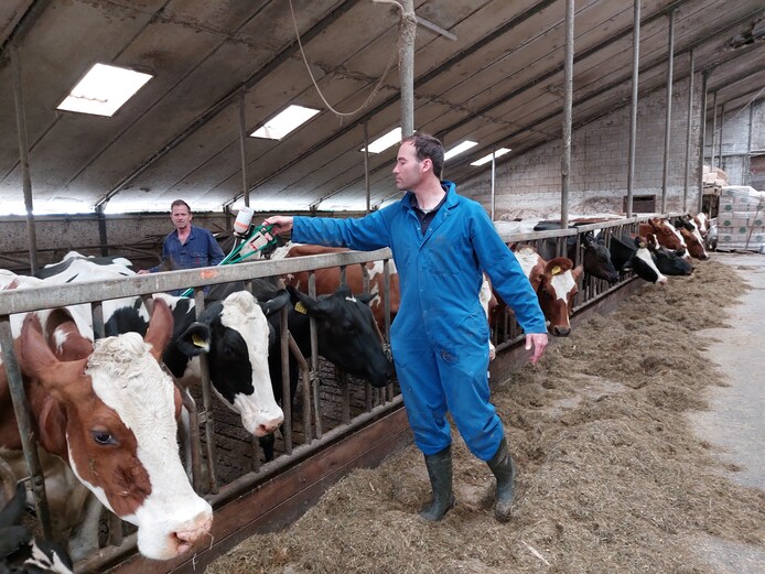 Boer Leon kan weer rustig ademhalen: Zijn vee is ingeënt tegen het ...