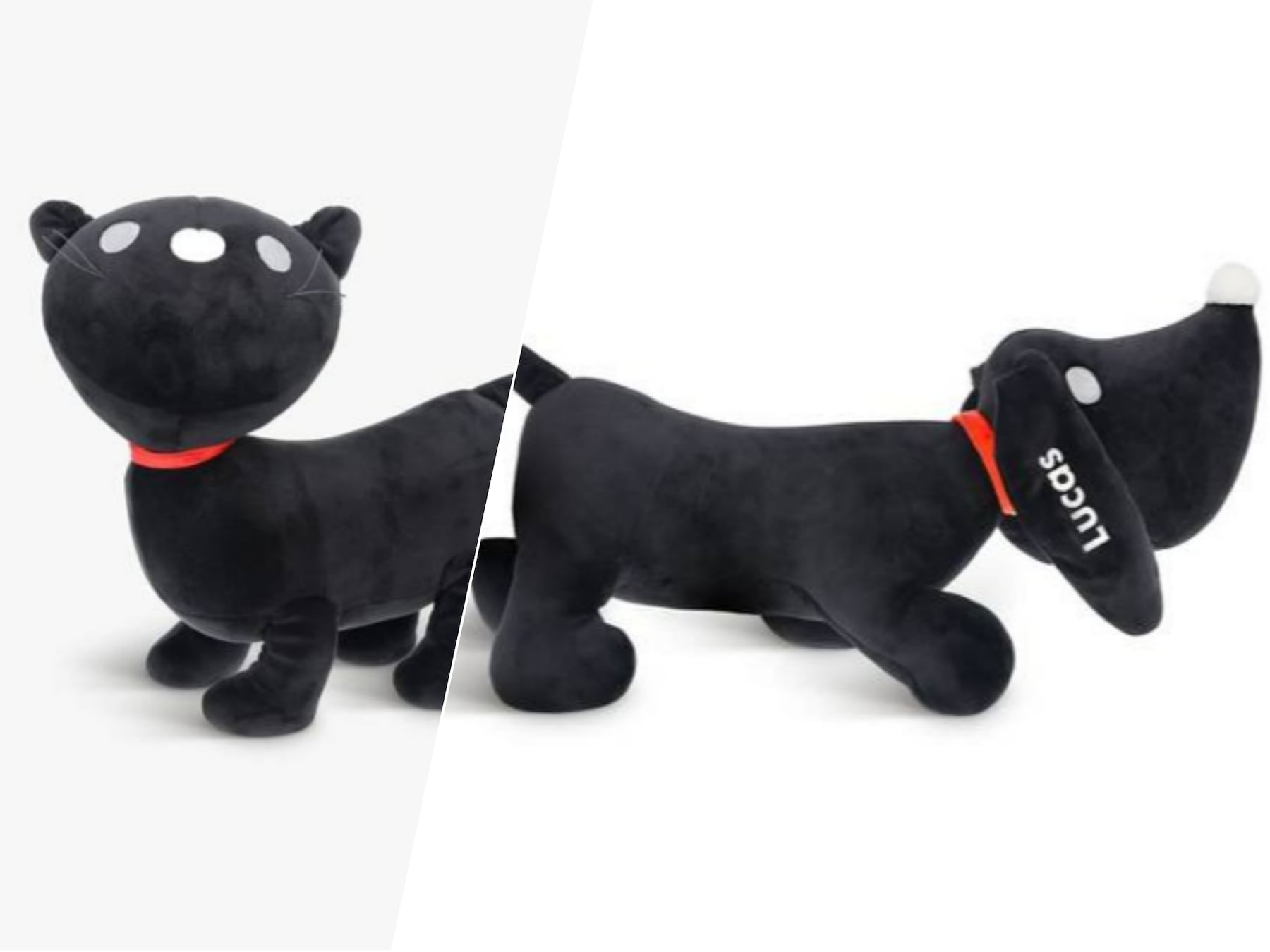 Campagne ‘wij eisen de nacht op’ haalt in een rap tempo bijna 400.000 euro op | Binnenland | AD.nl