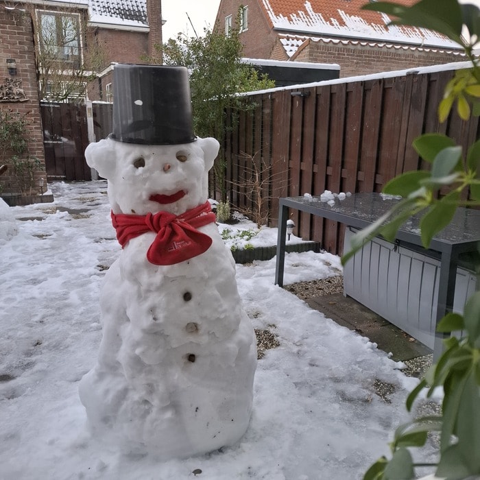 Dit zijn de mooiste sneeuwpoppen uit Papendrecht | Foto | AD.nl