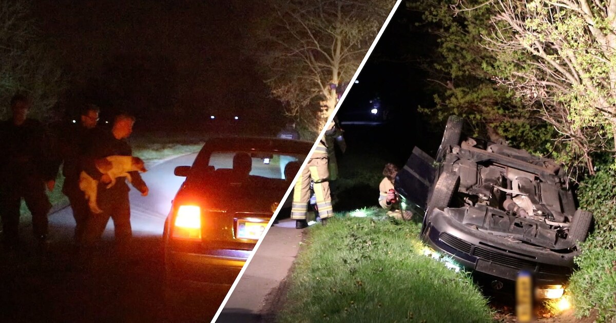 Pleger van shovel-aanslag op persfotograaf heeft spijt: ‘Ik kreeg een waas voor de ogen’ | Ede ...