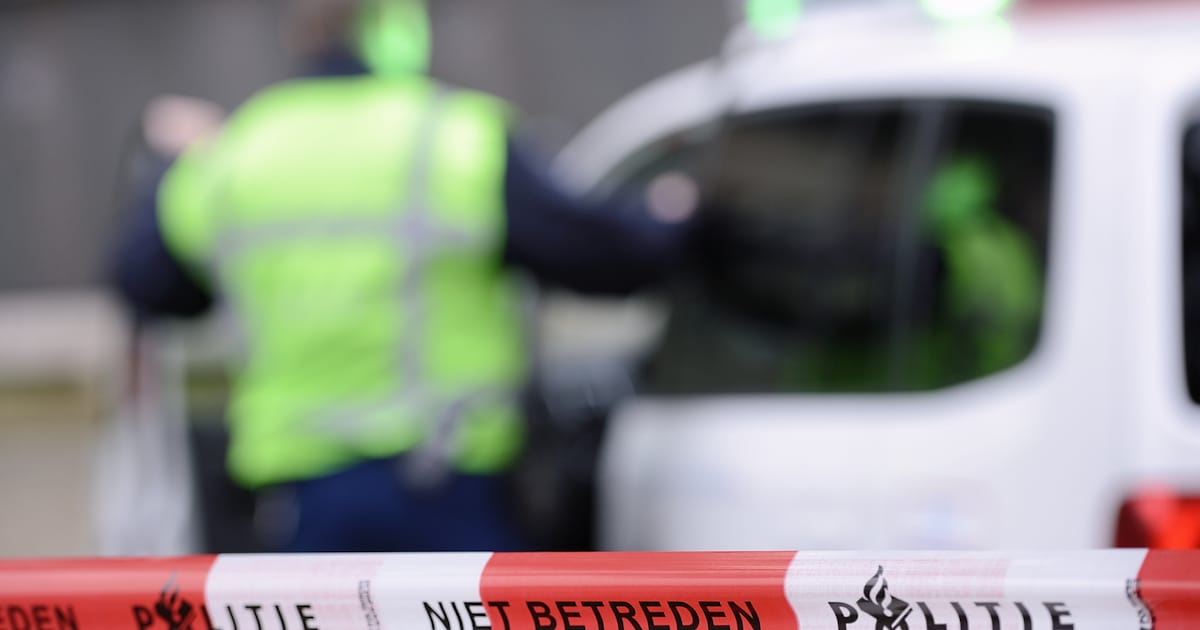 Politie neemt 1000 nep-merktassen in beslag | Den Haag | AD.nl