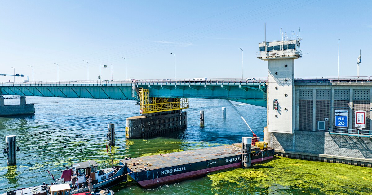 Renovatie van ‘totaal versleten’ Haringvlietbrug in 2023 van start, weg ...
