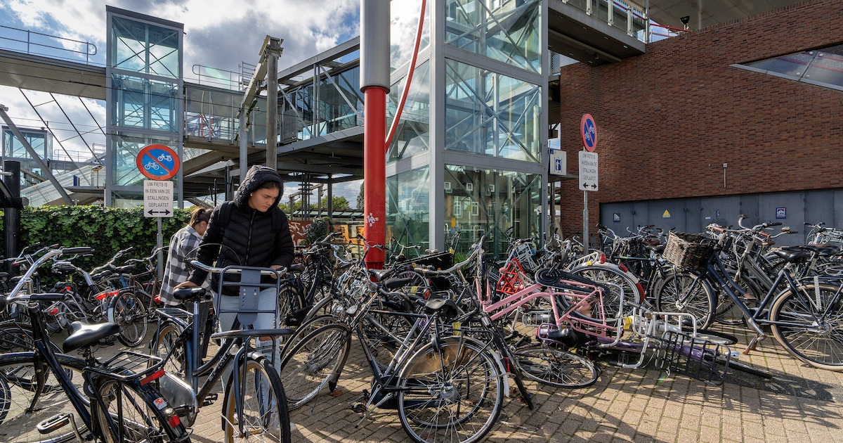 Woud aan fietsen voor station, Boxtel is het meer dan zat | Boxtel | AD.nl