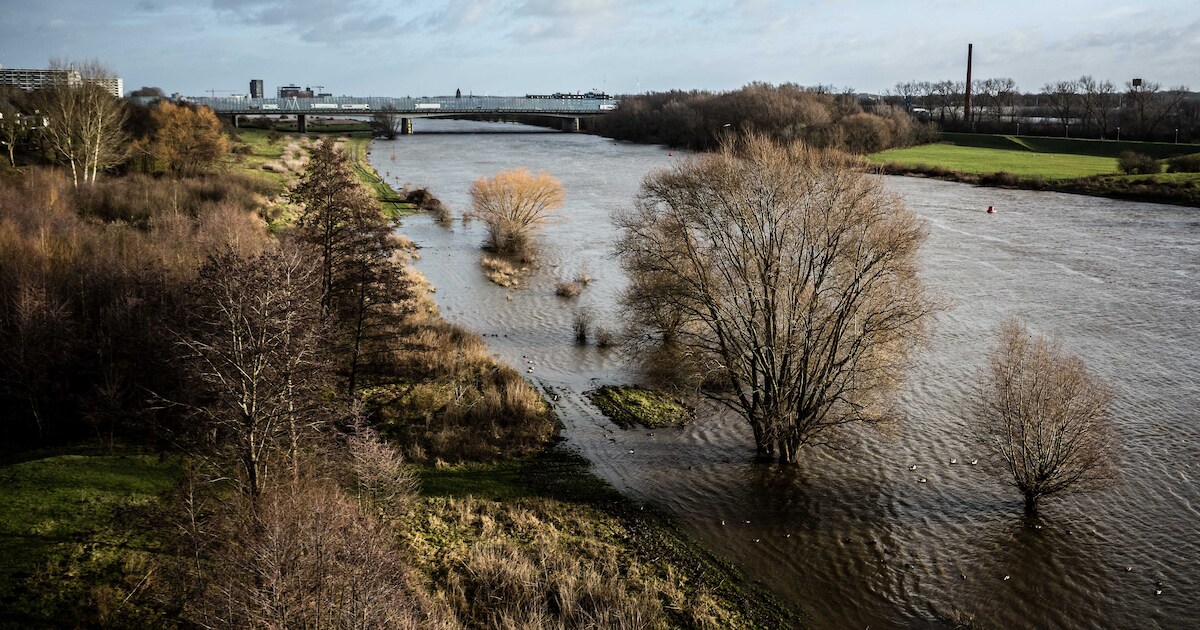 Natter dan nat! Waterschappen nemen maatregelen wegens hoge water ...