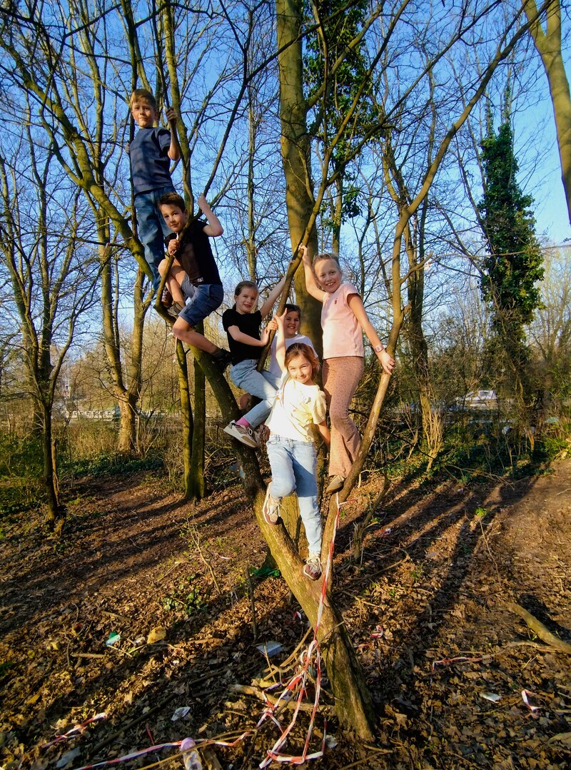 Zorgen over toekomst speelbos Oud Krispijn door nieuwbouw, binnenkort ...