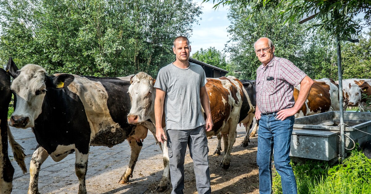 Politicoloog neemt Hoeve Ackerdijk over: ‘Veel mensen dromen ervan’ | Delft | AD.nl