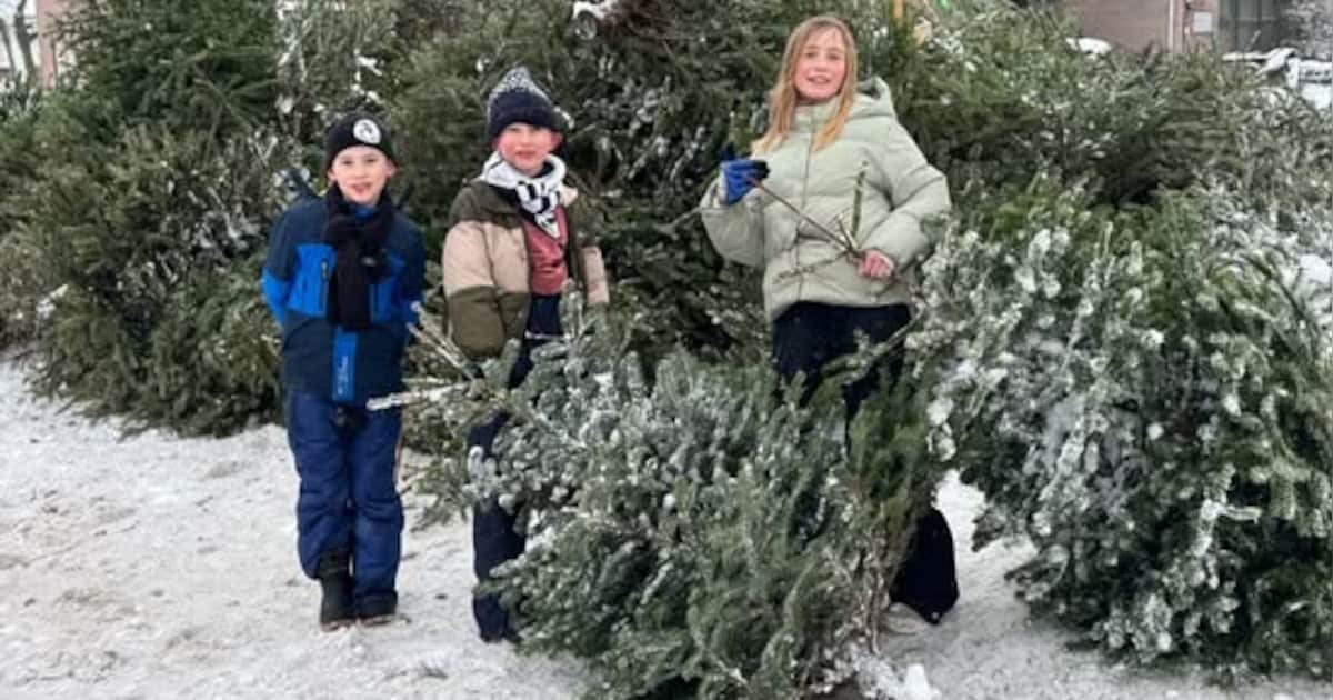 Kerstbomenactie in Krimpen aan den IJssel groot succes: 900 bomen ...