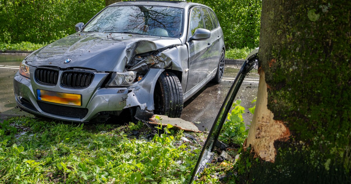 Bestuurster verliest macht over het stuur en botst tegen boom | Zevenaar | AD.nl