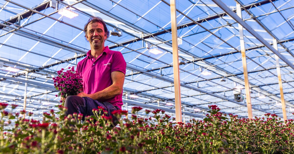 Toonaangevend kwekerscollectief Zentoo in race voor prestigieuze sierteeltprijs | Westland | AD.nl