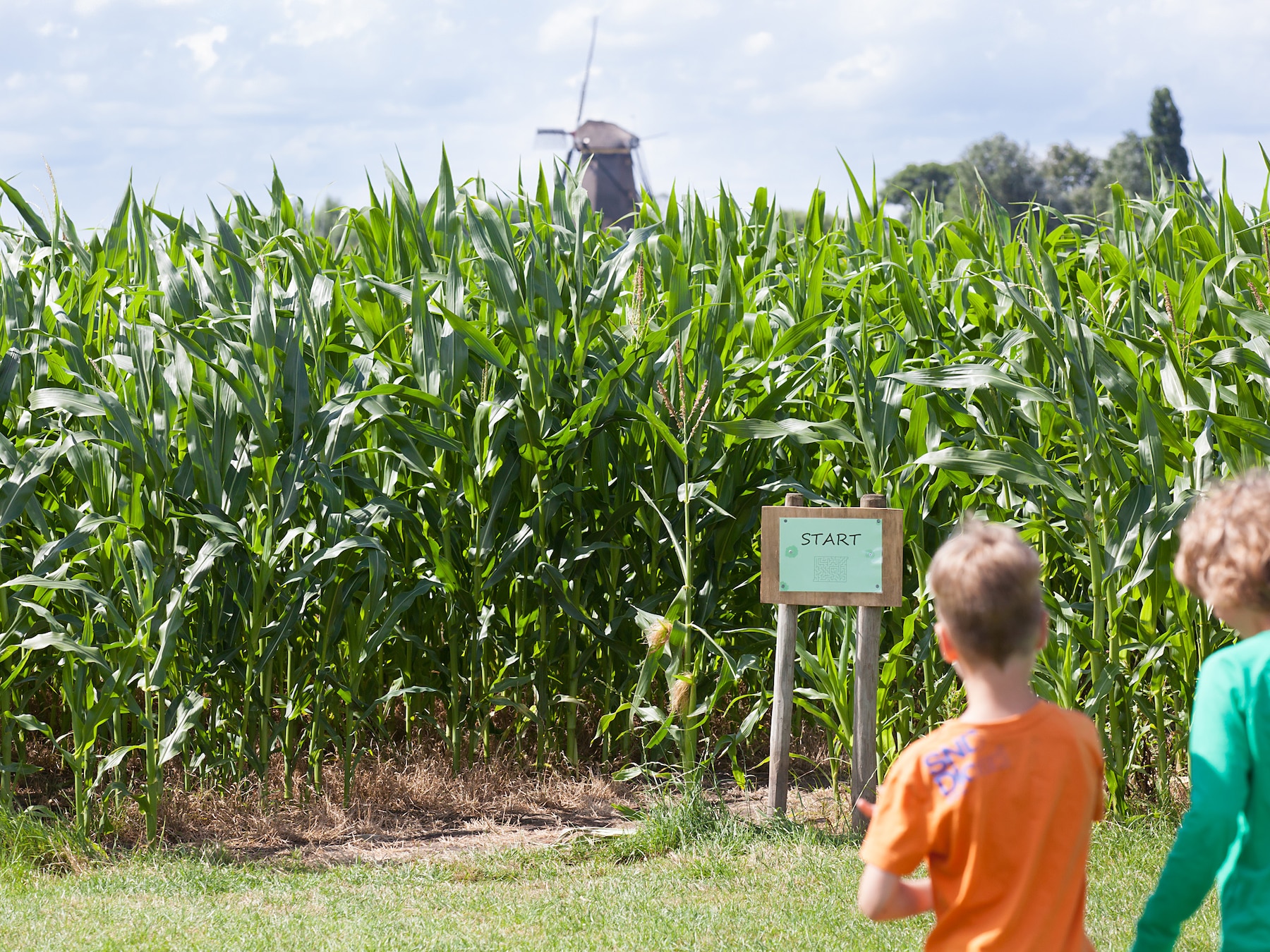 Als je deze route loopt kijk je uit op de enige werkende molenviergang ...