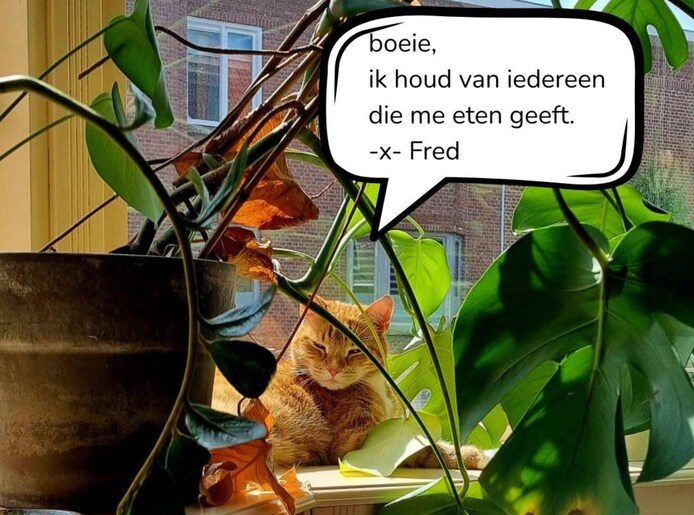 Kat Fred leidde jarenlang een dubbelleven: ‘Hij at gewoon van twee ...