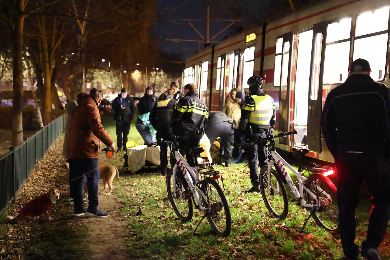Lodrick (45) werd bij reddingsactie door tram geschept: ‘Móést gewoon ...