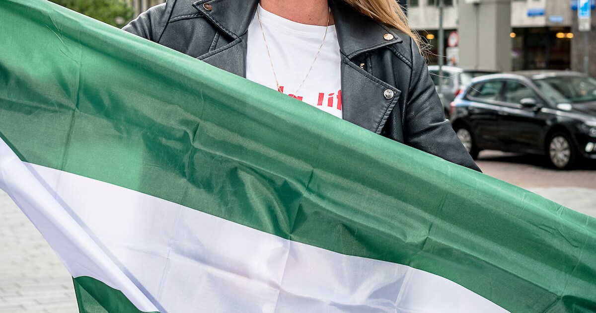 Groen-witte Rotterdamvlag wappert straks overal | Rotterdam | AD.nl