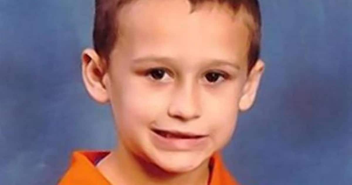 Jongetje (5) sterft enkele uren na beet van vioolspin | Buitenland | AD.nl